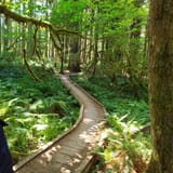 Ancient Groves Nature Trail, Washington - 628 Reviews, Map | AllTrails