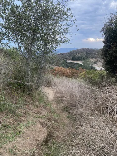 10 Best Trails and Hikes in Pasadena | AllTrails