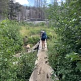 Lake Margaret Trail, California - 1,024 Reviews, Map | AllTrails