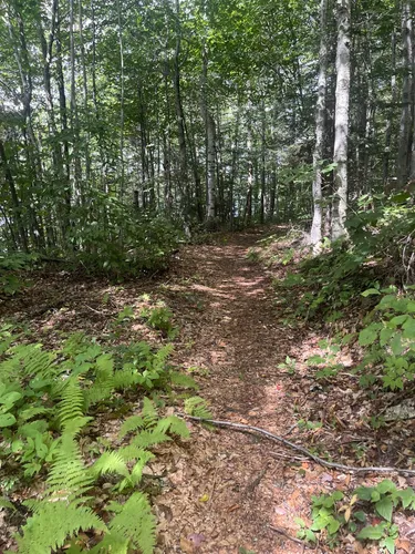 Best Hikes and Trails in West Dover | AllTrails