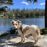 Angora Lakes Trail, California - 579 Reviews, Map | AllTrails
