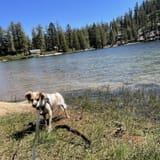 Angora Lakes Trail, California - 579 Reviews, Map | AllTrails