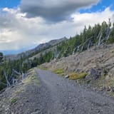 Dunraven Pass to Mount Washburn, Montana - 1,449 Reviews, Map | AllTrails