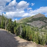 Dunraven Pass to Mount Washburn, Montana - 1,470 Reviews, Map | AllTrails