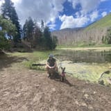 Red Lake Trail, Utah - 281 Reviews, Map | AllTrails