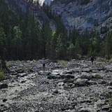 Heart Creek Trail, Alberta, Canada - 3,295 Reviews, Map | AllTrails