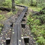 Tonsina Creek Trail, Alaska - 1,293 Reviews, Map | AllTrails