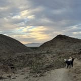 Jack Rabbit Trail, California - 311 Reviews, Map | AllTrails