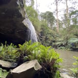 Lower Kalimna Falls, Victoria, Australia - 129 Reviews, Map | AllTrails