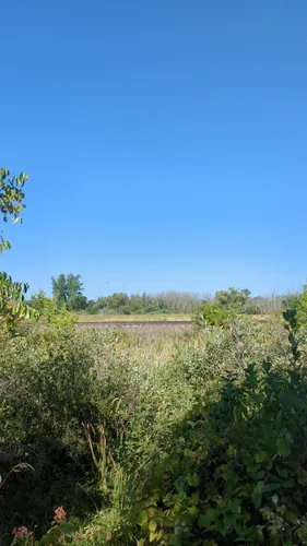 Best Hikes and Trails in Spring Green Park | AllTrails