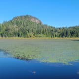 Addington Lookout, High Knoll, Lodge, Fern and Quarry Loop, British ...