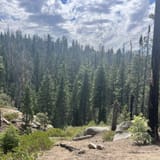 Viola Falls, California - 352 Reviews, Map | AllTrails