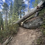 Viola Falls, California - 352 Reviews, Map | AllTrails