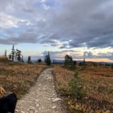 Summit Trail to Wickersham Dome, Alaska - 232 Reviews, Map | AllTrails