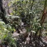 Woy Woy Waterfall Pool via Tunnel Trail, New South Wales, Australia ...