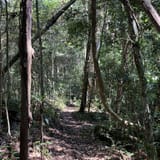 Conondale Range Great Walk, Queensland, Australia - 52 Reviews, Map ...