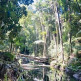 Conondale Range Great Walk, Queensland, Australia - 52 Reviews, Map ...