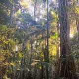 Conondale Range Great Walk, Queensland, Australia - 52 Reviews, Map ...