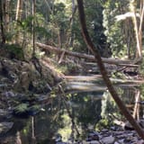 Conondale Range Great Walk, Queensland, Australia - 52 Reviews, Map ...