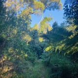 Conondale Range Great Walk, Queensland, Australia - 52 Reviews, Map ...