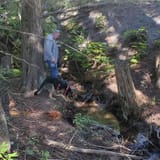 Rathdrum Mountain Story Walk Trail, Idaho - 124 Reviews, Map | AllTrails