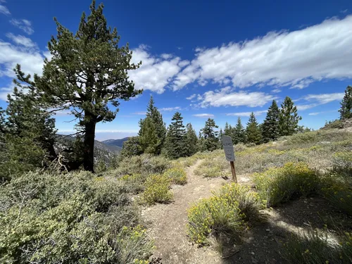 10 Best Trails and Hikes in Frazier Park | AllTrails