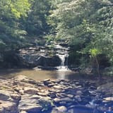 Cochran Mill Loop 1 and 2 (Orange), Georgia - 793 Reviews, Map | AllTrails