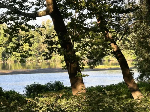 2023 Best River Trails in Mont Clare | AllTrails