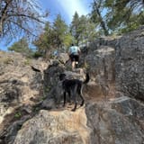 Mount Crumpit, British Columbia, Canada - 776 Reviews, Map | AllTrails