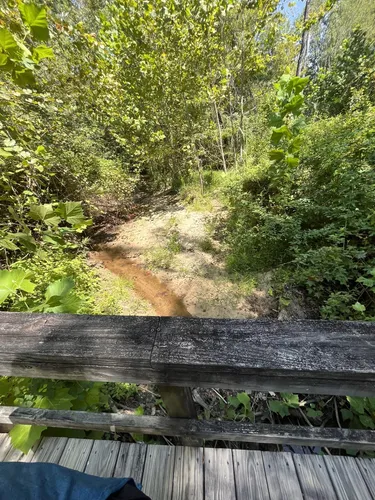 Best Hikes and Trails in Homochitto National Forest | AllTrails