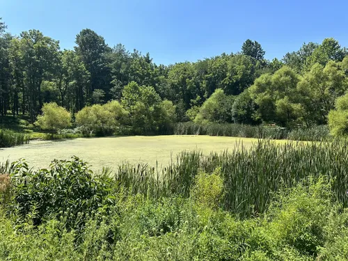 Best Hikes and Trails in Rust Nature Sanctuary | AllTrails