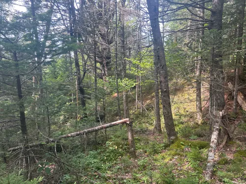 Best Lake Trails in Indian Path | AllTrails