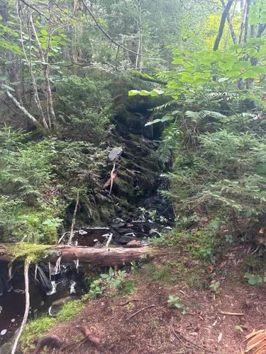 Best Lake Trails in Indian Path | AllTrails