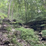 Whirlpool Trail, Ontario, Canada - 716 Reviews, Map | AllTrails