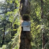 Mount Crumpit, British Columbia, Canada - 776 Reviews, Map | AllTrails
