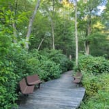 Cato's Ridge, Massachusetts - 517 Reviews, Map | AllTrails