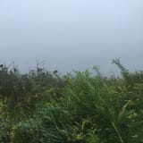 Deer Island Trail, Massachusetts - 648 Reviews, Map | AllTrails