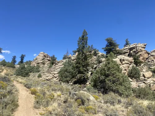 Best Hikes and Trails in Hartman Rocks Recreation Area | AllTrails