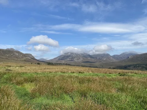10 Best Forest Trails in Northern Ireland | AllTrails