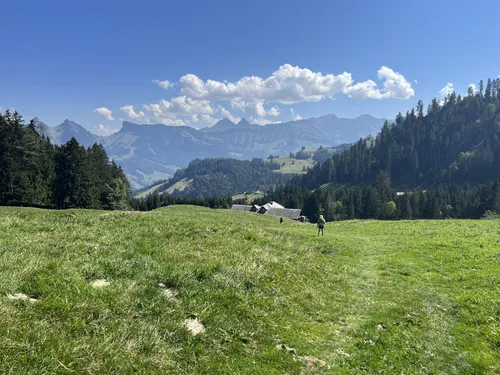 2023 Best Wild Flowers Trails In La Forêt De Bouleyres Alltrails