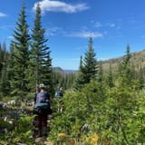 Gilpin Lake Trail, Colorado - 566 Reviews, Map | AllTrails