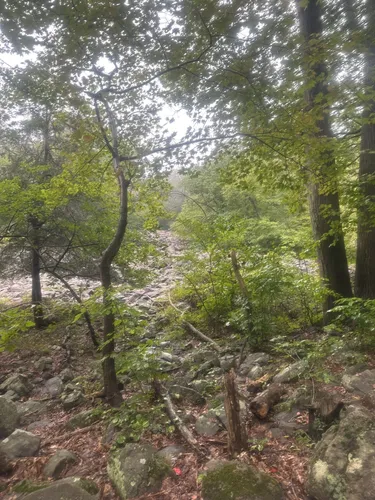 Best Hikes and Trails in Ringing Rocks County Park | AllTrails