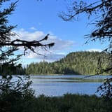 Crane Mountain Loop Hike, New York - 1,264 Reviews, Map | AllTrails