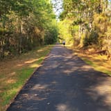 Longleaf Trace Trail, Mississippi - 306 Reviews, Map | AllTrails