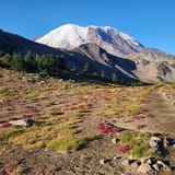 Skyscraper Mountain via Sourdough Ridge and Wonderland Trail ...