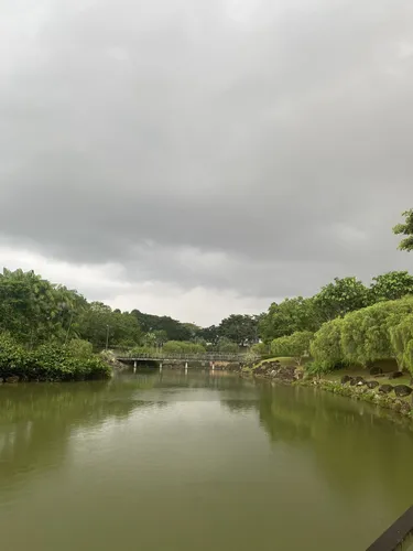 Best Hikes and Trails in Adda Heights Town Park | AllTrails