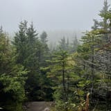 Mount Success via Appalachian Trail, New Hampshire - 391 Reviews, Map ...