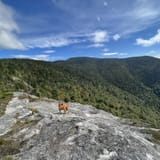 Mount Success via Appalachian Trail, New Hampshire - 391 Reviews, Map ...