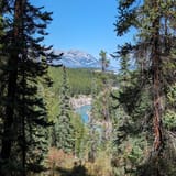 Cline River Trail, Alberta, Canada - 383 Reviews, Map | AllTrails