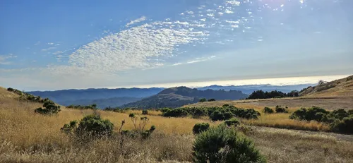 Best Hikes and Trails in Russian Ridge Open Space Preserve | AllTrails